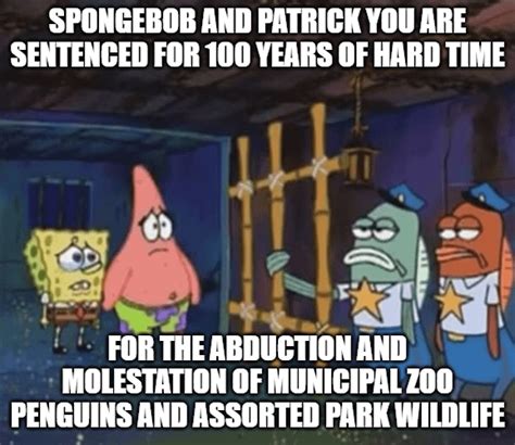 Sex Penguin R Cartooncocktime