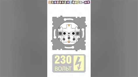 ⚡ Обозначение L N и Pe в электрике Youtube