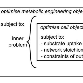 Bilevel Linear Programming The Nested Structure Of The Bilevel Linear Download Scientific