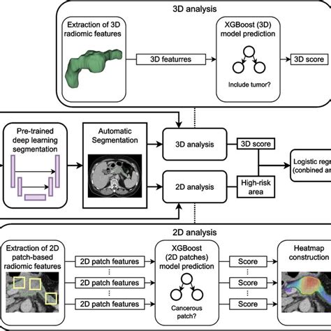 Workflow Of Developed Cad Tool Download Scientific Diagram
