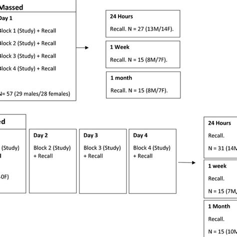 A Visual Representation Of The Experimental Design And A Breakdown Of Download Scientific A Visual Representation Of The Experimental Design And A Breakdown Of Download Scientific