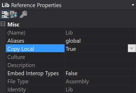 Debugging System IO FileNotFoundException Cause And Fix