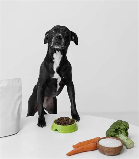 20 High Fiber Dog Foods