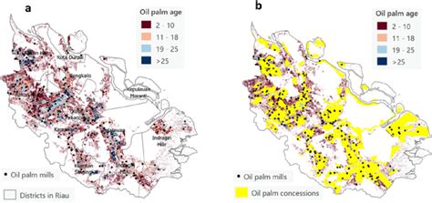 Spatial Distribution Of Oil Palm By Age And The Locations Of Mills And Download Scientific