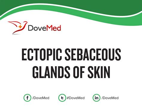 Ectopic Sebaceous Glands Of Skin