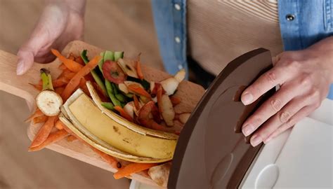 How Can You Solve Common Compost Bin Issues Solved Faebloom