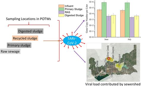 Prevalence Of SARS CoV Genes In Water Reclamation Facilities From Influent To Anaerobic
