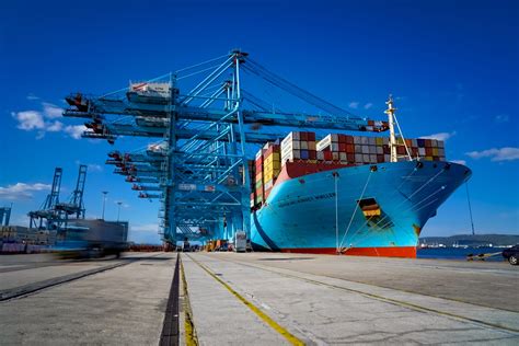 How Can Data Sharing Solutions Help Port Authorities In Reducing Idle
