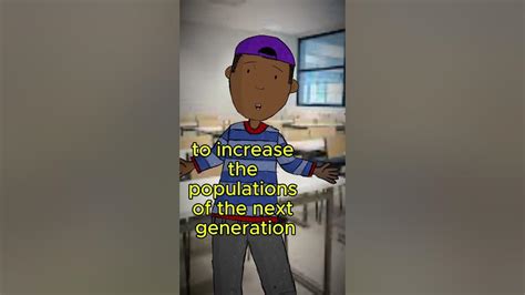 Johnnys Hilarious Answer To What Is Sex 🤣 Funnyshorts Funny Trendingshorts Youtube