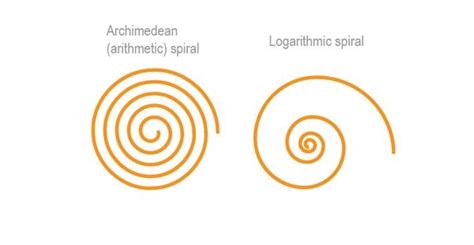 Archimedean Arithmetic Spiral In Illustrator Illustrator Tutorials Free Illustrator