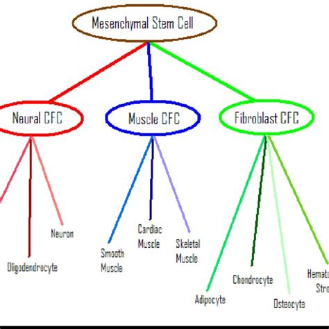 Schematic Illustration Of Kinetic Energy Continuum In Impact Model