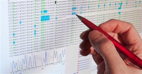 what s multiple sequence alignment in bioinformatics