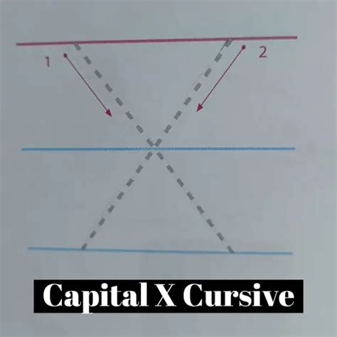 Capital X In Cursive Worksheet And Tutorial