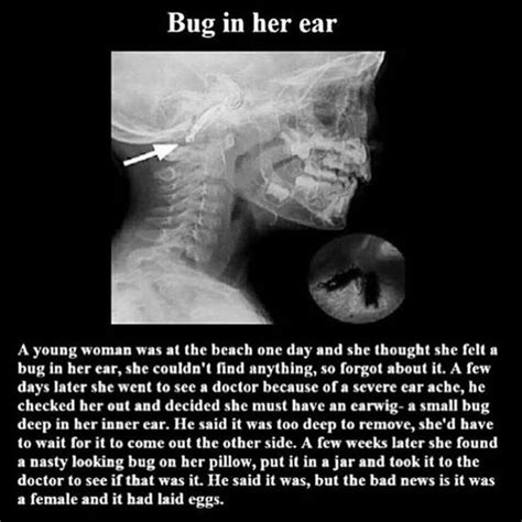 Pin On Horror Facts Creepy No Sleep Stories
