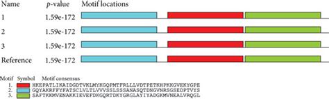 A Protein Structure Exonic Region Of S Aureus B Alignment Of S