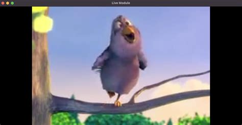 Ios Swift Vlckit Vlcmediaplayer Frame Not Laying Out Correctly
