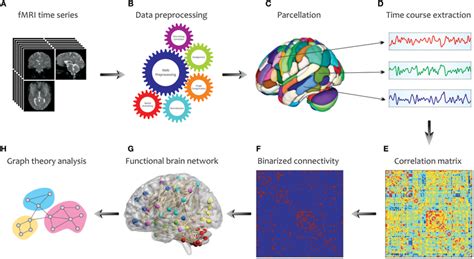 Schematic Representation Of Brain Network Construction And Graph