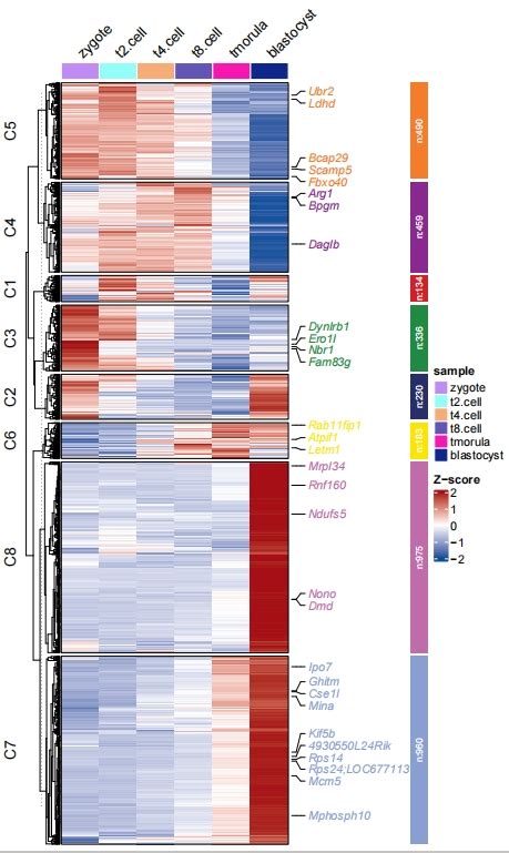 Chapter Basic Usage ClusterGVis Reference Book