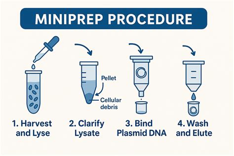 Miniprep SynBio Project Tutorials
