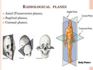 Basic About Radiology And Imaging Pdf