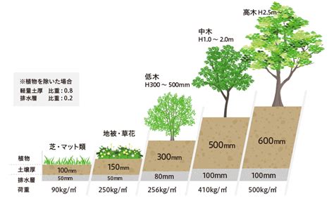 樹木比重 伐採木比重表 木材の重さは？1分でわかる計算、重量と立米（m3）の関係 Zcfght