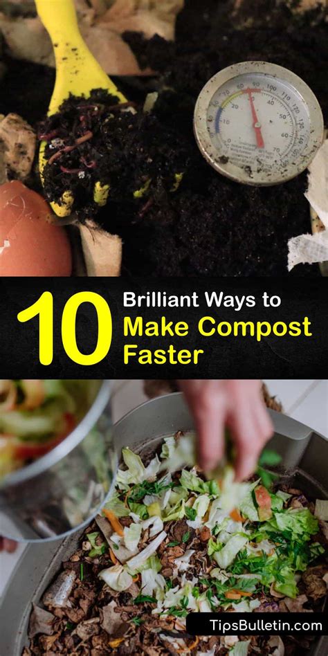 Fast Composting Quick Compost Solutions