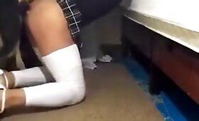 免费的动物癖色情和动物性爱影片