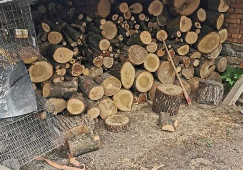 Ченгета намериха незаконни дърва в дома на видинчанин