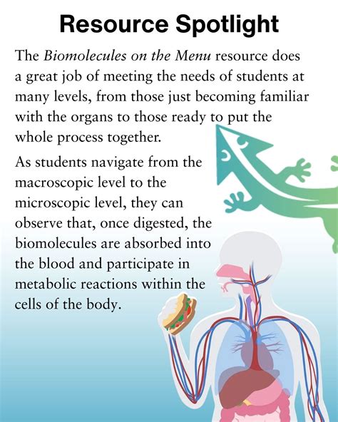 Biointeractive