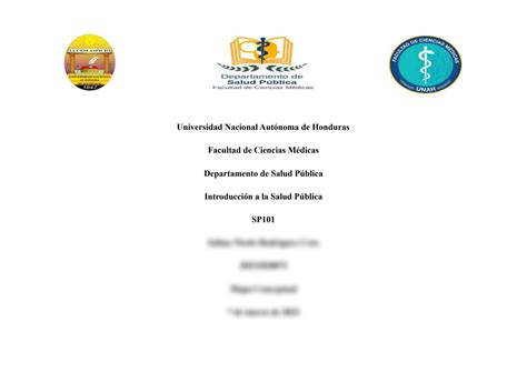 SOLUTION: Mapa conceptual intoducci n a la salud p blica conceptos basicos de la salud - Studypool
