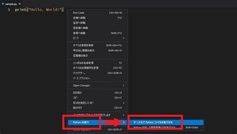 vscodeでpythonを実行する方法｜実行できなときの対処法も解説｜prog life