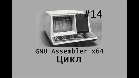 Gnu Assembler X64 Цикл Youtube