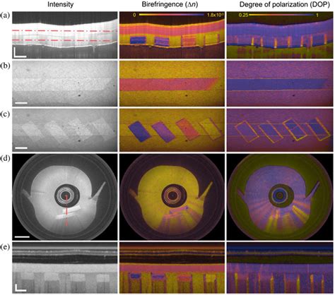 Image From Ref 108 A C Intensity Birefringence And Dop Images