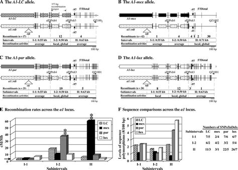 —high Resolution Mapping Of The Recombination Breakpoints That Resolved