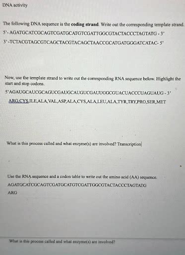 Dna Activitythe Following Dna Sequence Is The Coding Strand Write Out