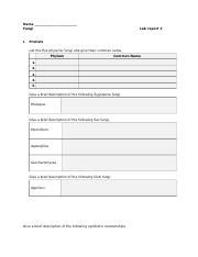 Lab Report Fungi Docx Name Fungi I Lab Report Protists List The Five Phyla For Fungi