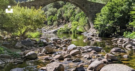 강 위의 다리 사진 Unsplash의 무료 자연 이미지