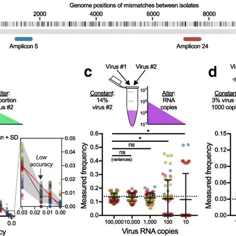 Pdf An Amplicon Based Sequencing Framework For Accurately Measuring Intrahost Virus Diversity