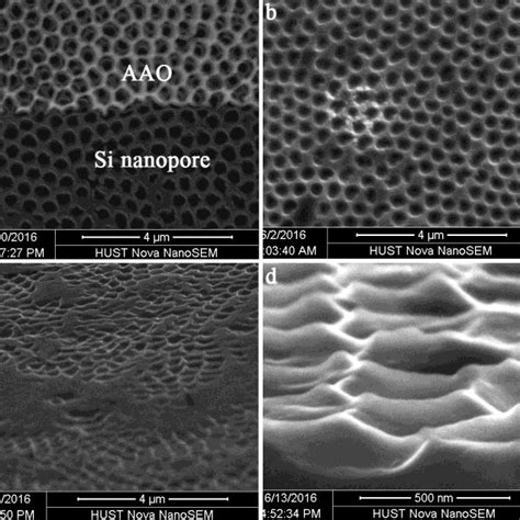 Preparation Of Si Nanopore Arrays A The Aao Mask Was Transferred Download Scientific Diagram