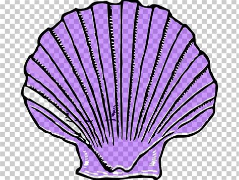Clam Seashell Png Clipart Animals Artwork Clam Computer Icons Conch Free Png Download