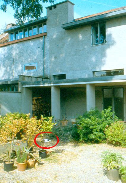 The World According To Mrs B Cats And Architecture