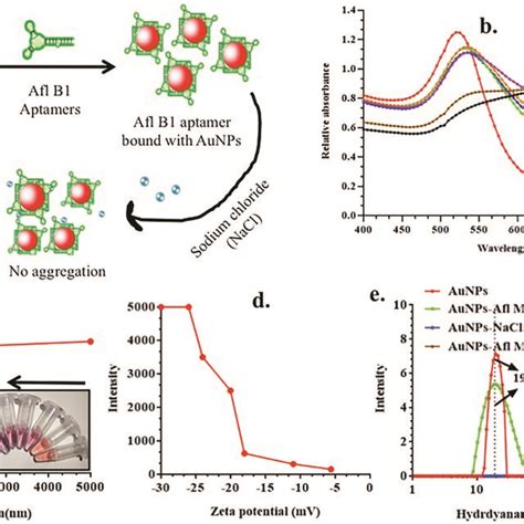 A Diagrammatic Representation For Optimization Of Aptamer Download Scientific Diagram