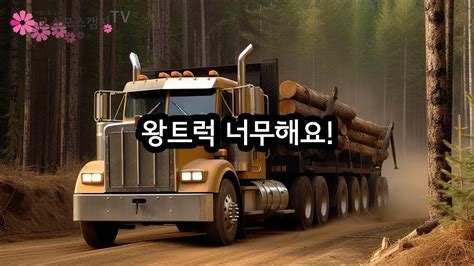어우 트럭이 너무 하네요 교통사고가 났습니다 Youtube