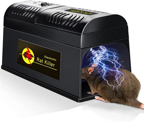 10 Best Electric Mouse Traps – 2023 Hummingbirds Plus