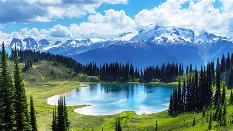 캐나다 모레인 호수 밴프 공원 호수 숲 5k시사