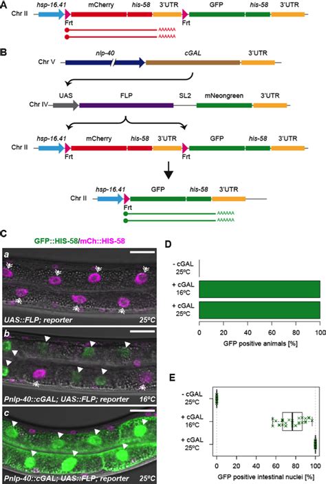 301 Moved Permanently