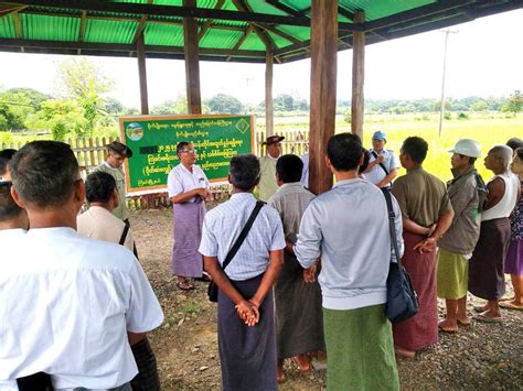 ကြံခင်းမြို့နယ်စိုက်တိုးမြှင့်အဖွဲ့မှ စံပြ ၁၀၀ စိုက်ခင်း တောင