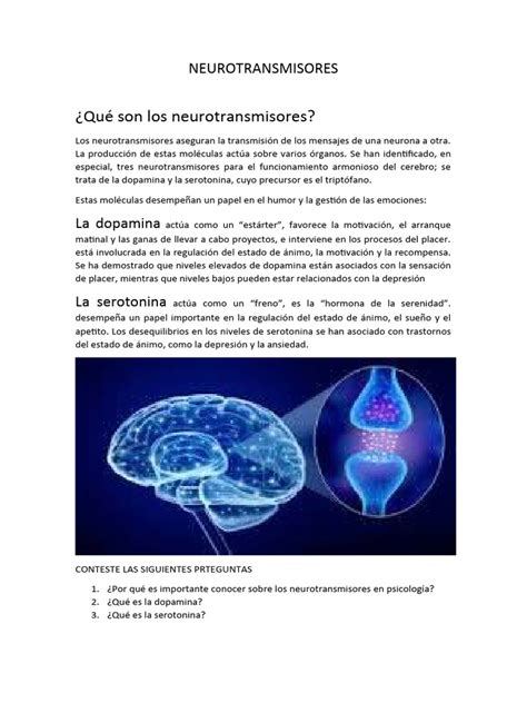 Importancia De Los Neurotransmisores En Psicología Pdf Relaciones