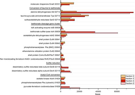 Excerpt Of The Total Proteomic Data Obtained For The Sucrose Gradient