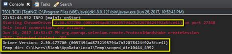 Selenium Java How To Get Current Chromedriver Instances User